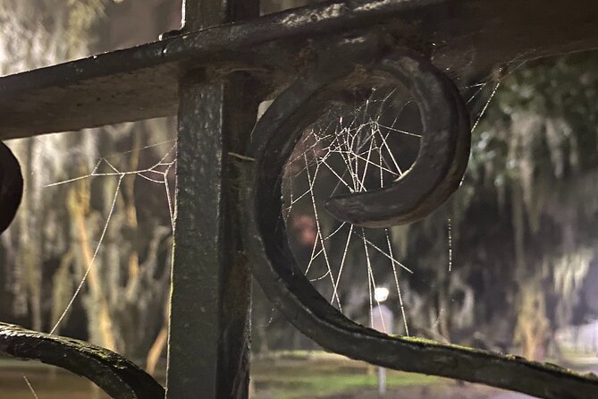 Savannah Ghost Tour for Adults ALL Alcoholic Drinks Included - Who Should Book This Tour?