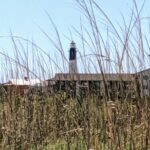 Savannah Historic District & Islands Private Guided Tour - FAQs