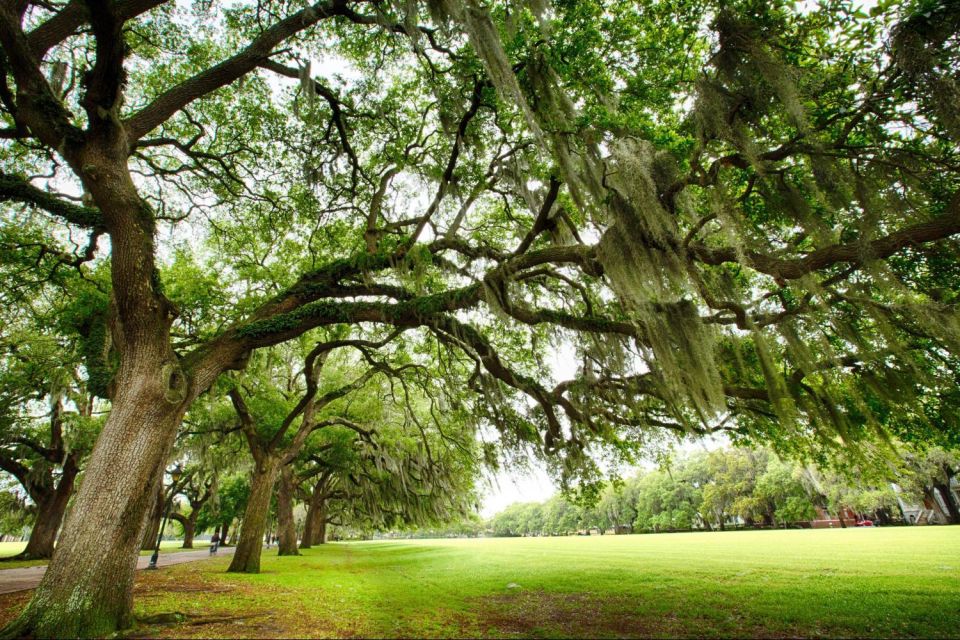 Savannah: Historical Panoramic City Tour - Who Should Consider This Tour?
