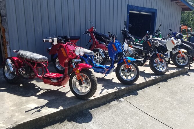 Savannah Scooter and Trike Rental with Helmet - Practical Details and Tips