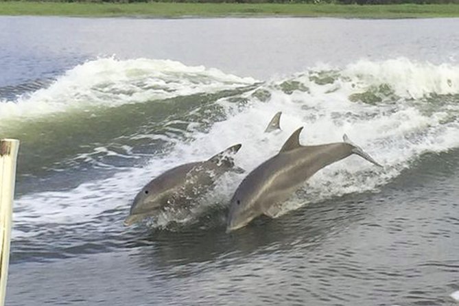 Savannah to Tybee Island with Dolphin Cruise - Frequently Asked Questions