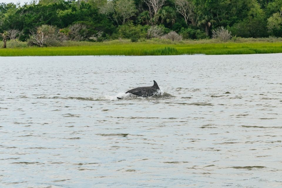 Savannah: Tybee Island Dolphin Tour - Why This Tour Works Well