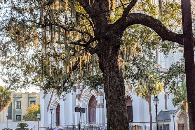 Savannah VIP Tour: Private Full-Day Tour - Who Will Love This Tour?