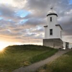 Scenic Coast and Wildlife Tour - The Value Proposition