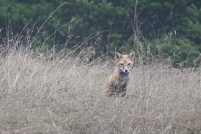 Scenic Coast and Wildlife Tour - FAQs