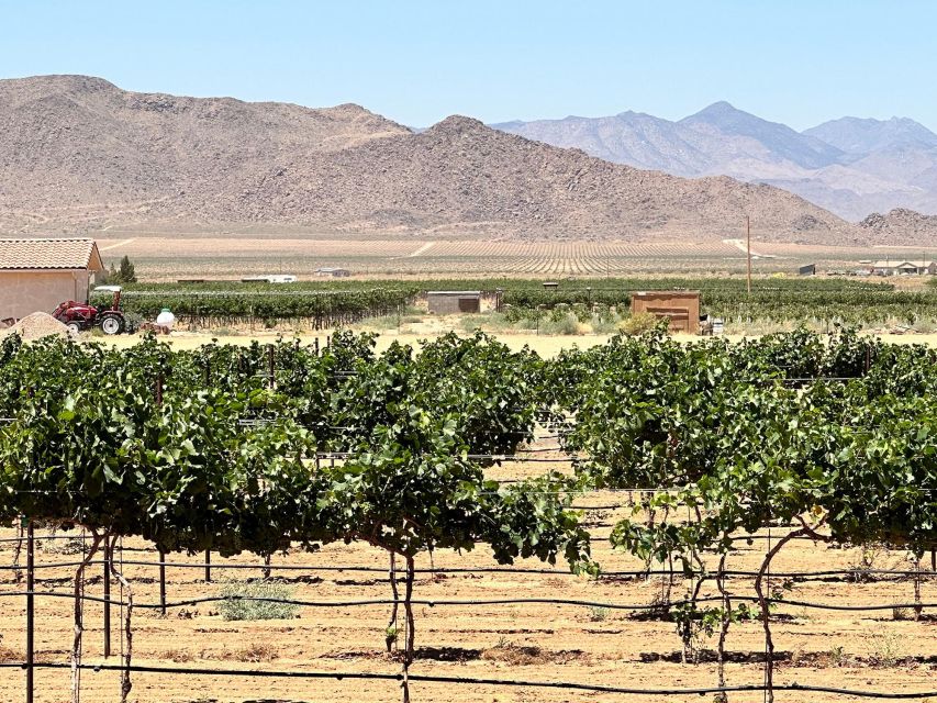 Scenic Desert Wine, Distillery Tastings/Brewery/RT66 & Lunch - Little Old Wine Drinkers Vineyard