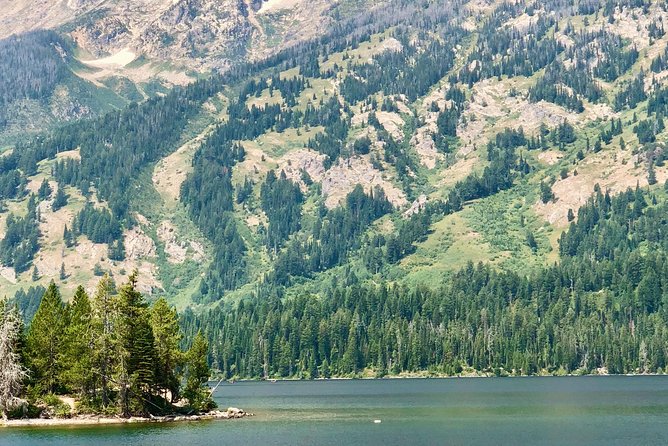 Scenic Float Trip in Grand Teton National Park Jackson Hole - An In-Depth Look at the Experience