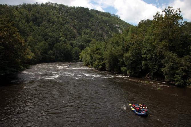 Scenic Floats on the Pigeon River with Big Creek Expeditions - Why This Tour Is a Great Choice