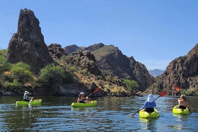Scenic Guided Kayaking Tour on Saguaro Lake - Key Points