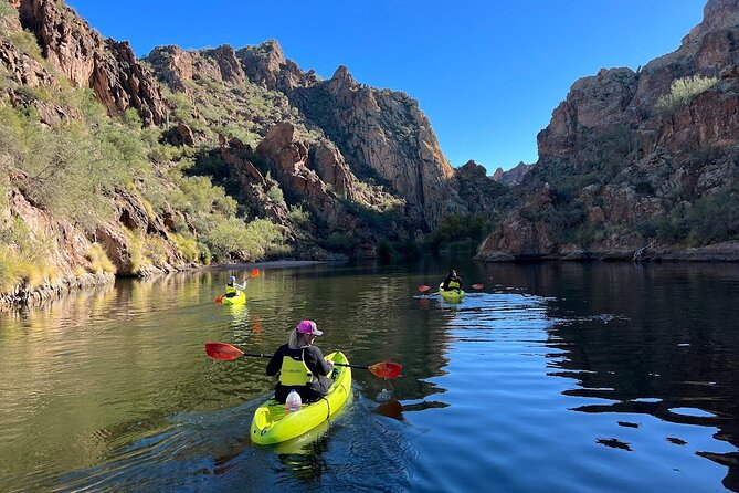 Scenic Guided Kayaking Tour on Saguaro Lake - Analyzing the Value and Suitability