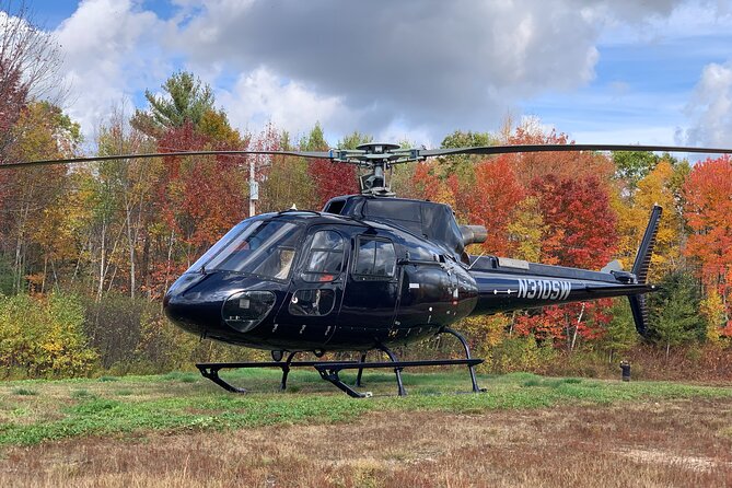 Scenic Lakeside Proposal with Luxury Helicopter from NYC - The Sum Up