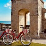 Scenic Palm Beach Guided Tour - FAQ