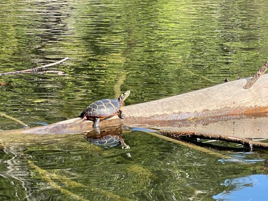 Scenic Sebago Lake Historical Tour - Key Points