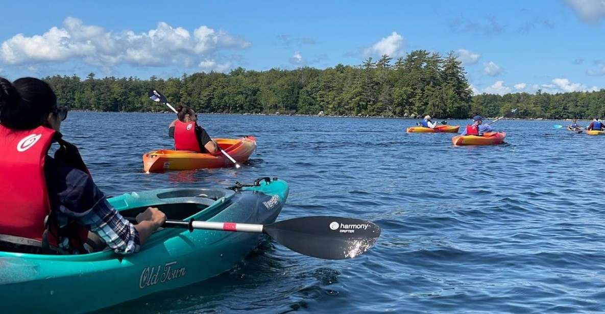 Scenic Sebago Lake Historical Tour - Why the Scenic Sebago Lake Tour Is Worth Considering