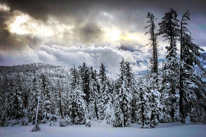 Scenic Sunset Snowshoe Tour - Who Should Consider This Tour?