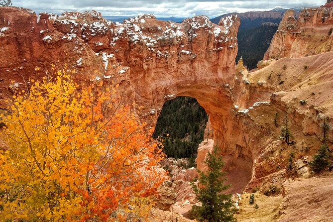 Scenic Tour of Bryce Canyon - The Experience: A Closer Look at Key Aspects