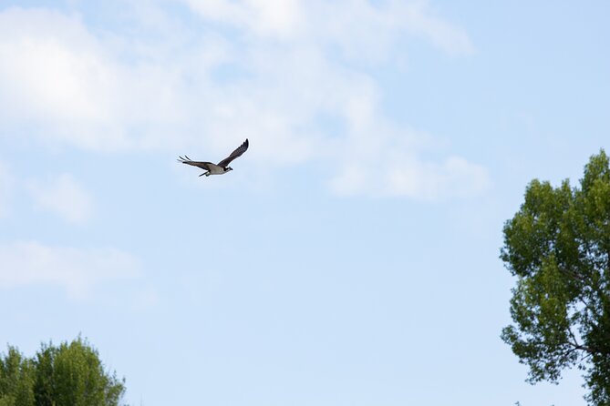 Scenic Wildlife Float Trip with Teton Views - Final Thoughts