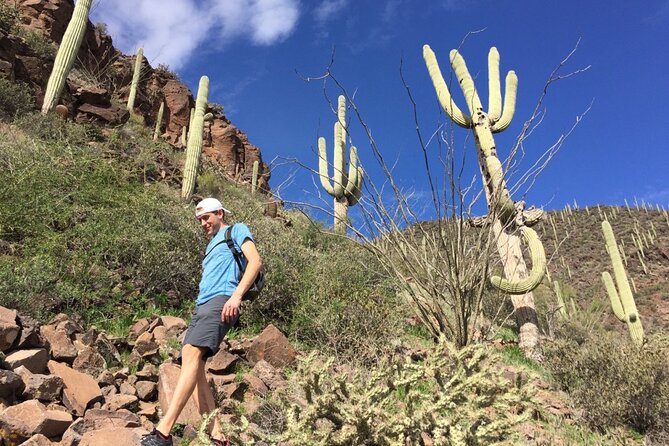 Scottsdale Desert Classic Guided Hiking Adventure - What to Expect from the Scottsdale Desert Classic Guided Hiking Adventure