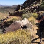 Scottsdale Desert Classic Guided Hiking Adventure - Why This Tour Works