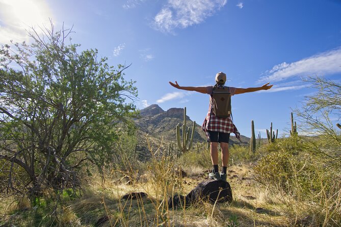 Scottsdale Desert Classic Guided Hiking Adventure - Who Will Love This Experience?
