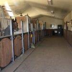 Scottsdale Horseback Riding and Horse Country Estate Tour - FAQ