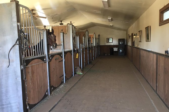 Scottsdale Horseback Riding and Horse Country Estate Tour - FAQ