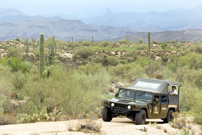 Scottsdale & Phoenix Desert H1 Hummer Tour - Exploring the Desert in a Hummer H1: What You Can Expect