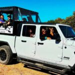 Scottsdale: Sonoran Desert to MountainTop Jeep Tour - What’s Included and What to Keep in Mind