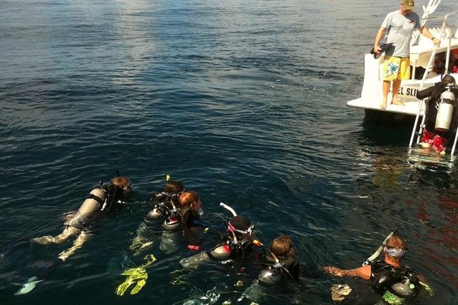 Scuba Certification - How the Pricing Reflects Value  