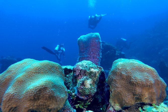 Scuba Certification - Frequently Asked Questions  