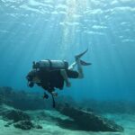 SCUBA Dive at Electric Beach with Photos -No Certification Needed - Who Will Love This Experience?