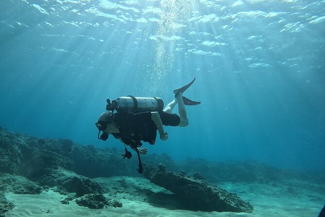 SCUBA Dive at Electric Beach with Photos -No Certification Needed - Who Will Love This Experience?