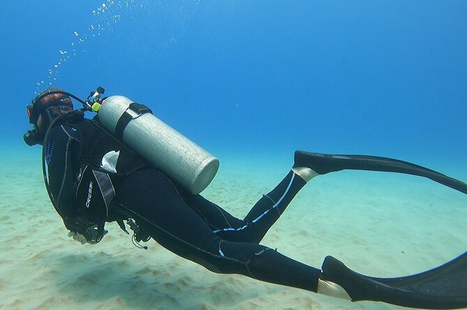 SCUBA Dive at Electric Beach with Photos -No Certification Needed - Frequently Asked Questions