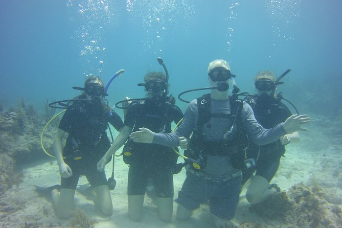 SCUBA Dive Key Largo Reef (min 6 divers) - A Closer Look at the Tour Experience