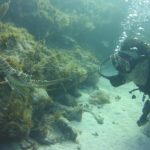 SCUBA Dive Key Largo Reef (min 6 divers) - Who Should Book This Tour?