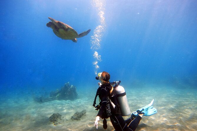 Scuba Diving in Maui with No Experience Needed - Practical Tips & Considerations