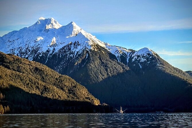 Sea it All -Private Sitka Wildlife LAND & SEA COMBO for 6 w/meal - An In-Depth Review of the Sitka Wildlife & Land & Sea Tour
