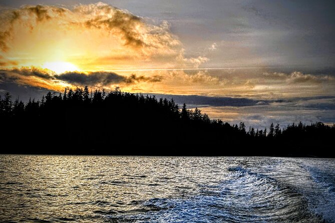 Sea it All -Private Sitka Wildlife LAND & SEA COMBO for 6 w/meal - The Sum Up