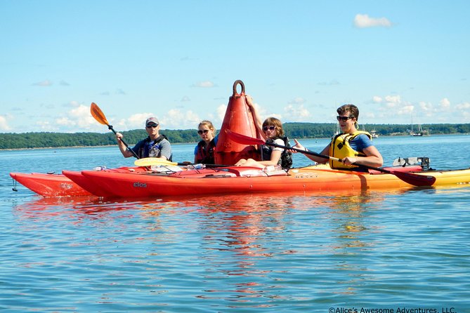 Sea Kayak to an Island Tour in Casco Bay - What’s included and what should you bring
