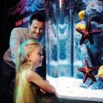 SEA LIFE Aquarium Arizona Admission Ticket - Exploring the Experience: What to Expect