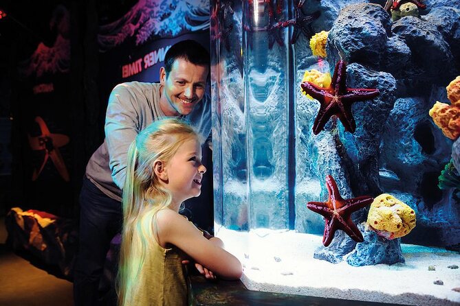 SEA LIFE Aquarium Arizona Admission Ticket - Exploring the Experience: What to Expect