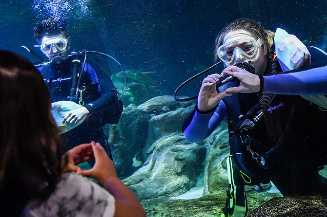 SEA LIFE Aquarium Arizona Admission Ticket - The Practical Side: Value, Pricing, and Tips