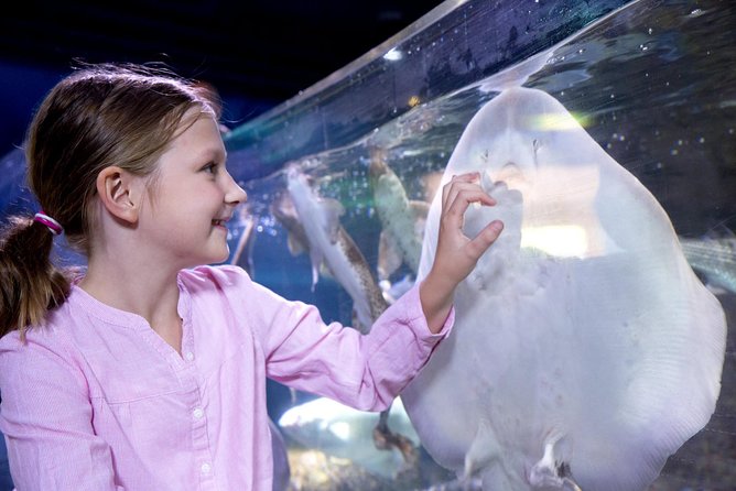 SEA LIFE Aquarium Arizona Admission Ticket - Who Will Love SEA LIFE Arizona?