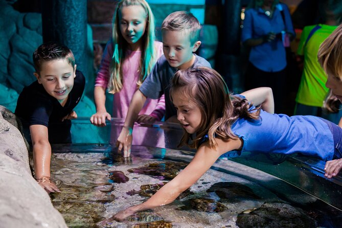 SEA LIFE Aquarium Arizona Admission Ticket - FAQ