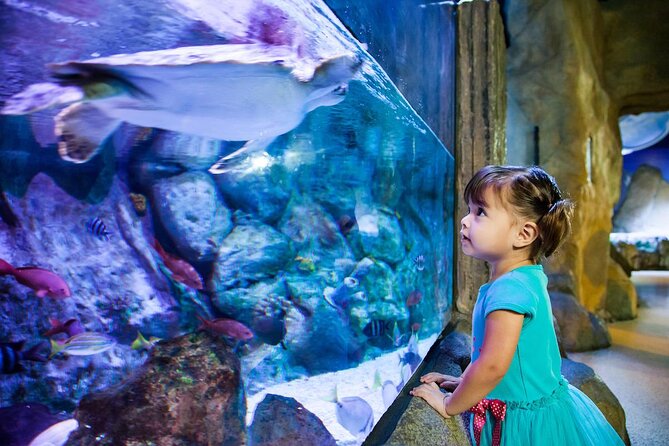 SEA LIFE Aquarium Grapevine Admission Ticket - Introduction