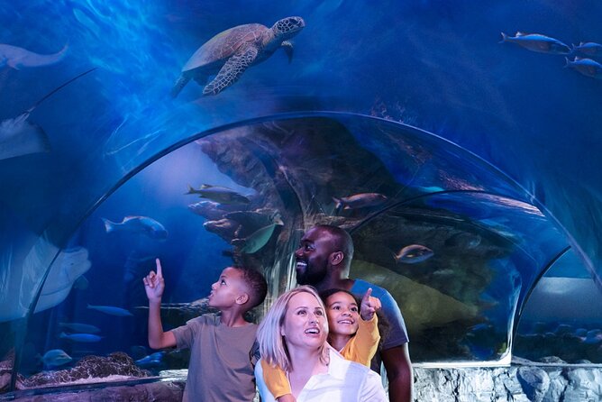 SEA LIFE Aquarium Grapevine Admission Ticket - Detailed Breakdown of the Itinerary