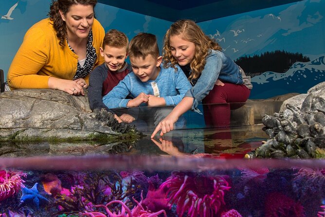 SEA LIFE Aquarium Grapevine Admission Ticket - Authentic Insights from Visitors