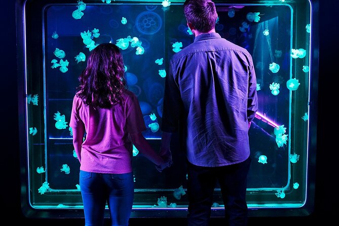 SEA LIFE Aquarium Minnesota Admission Ticket at Mall of America - A Close Look at the Experience