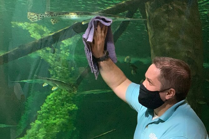SEA LIFE Aquarium Minnesota Admission Ticket at Mall of America - What Reviewers Say: Authentic Insights