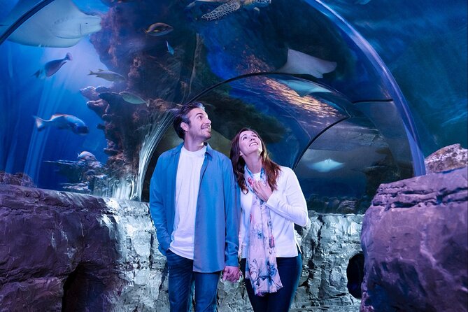 SEA LIFE Aquarium Minnesota Admission Ticket at Mall of America - The Sum Up: Who is SEA LIFE Minnesota Best For?